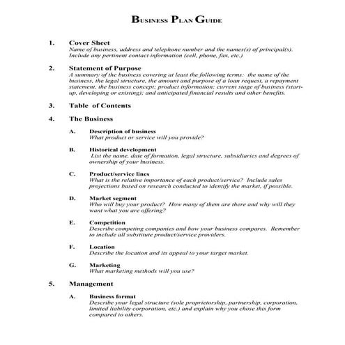 Business Plan Guide | PDF