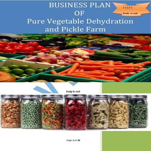 Business plan,of dehydration vegetable.m Rahil | DOCX