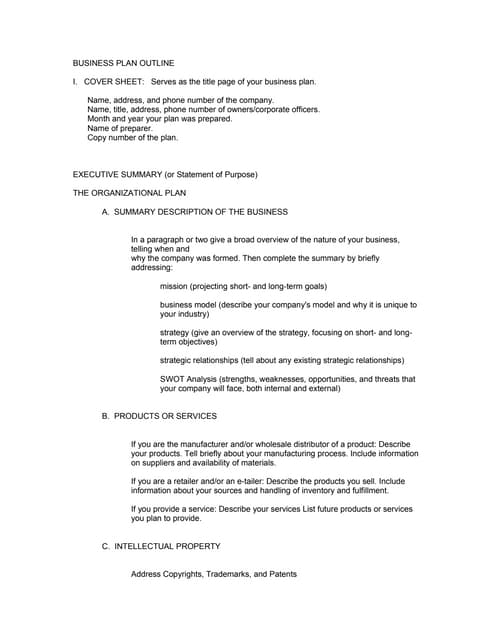 The Business Plan Instructions | PDF