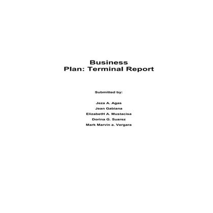 Business Plan Terminal Report.docx