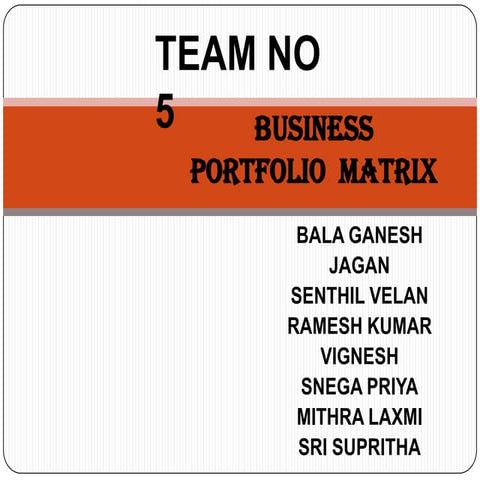 Business portfolio matrix | PPTX