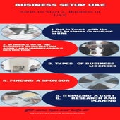 Business Setup UAE.pdf