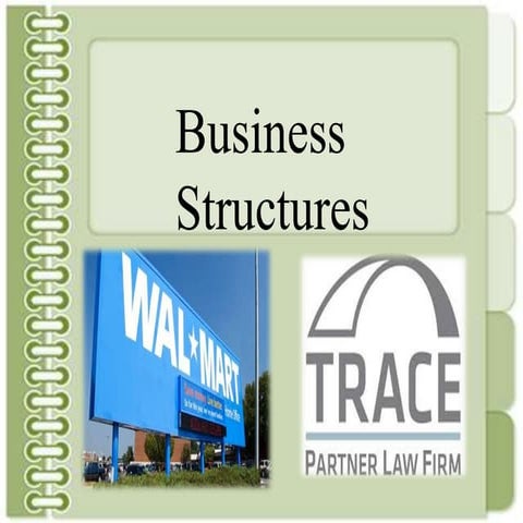 Business structures | PPT