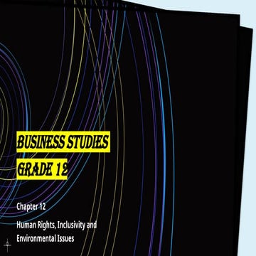 Grade 12 Business Studies Chapter 12.pptx