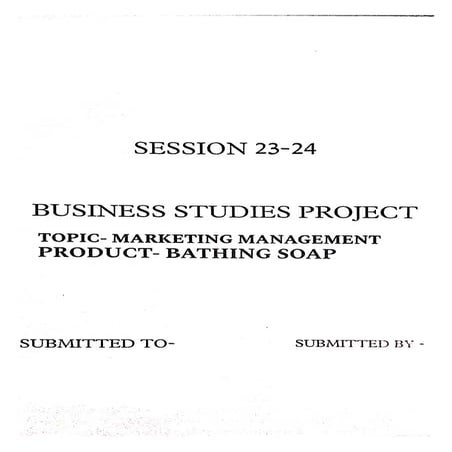 Business Studies Class 12th Project .pdf