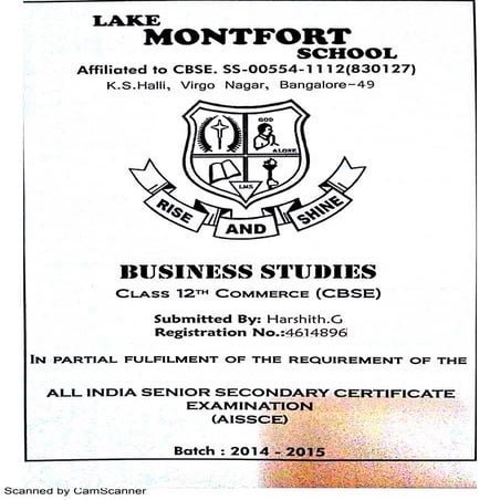 Business studies Class 12 Project | PDF