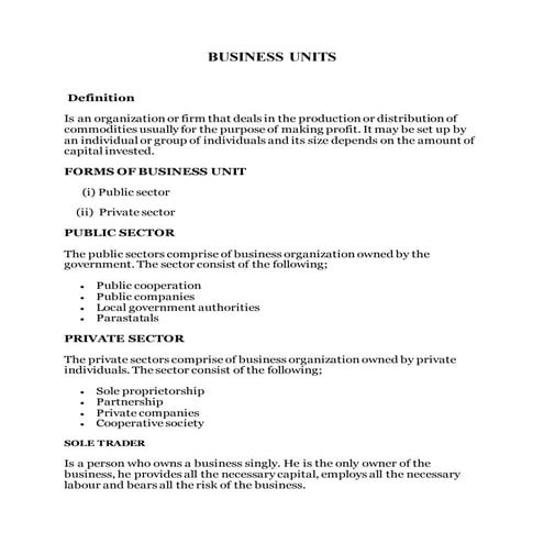 BUSINESS UNITS | DOCX