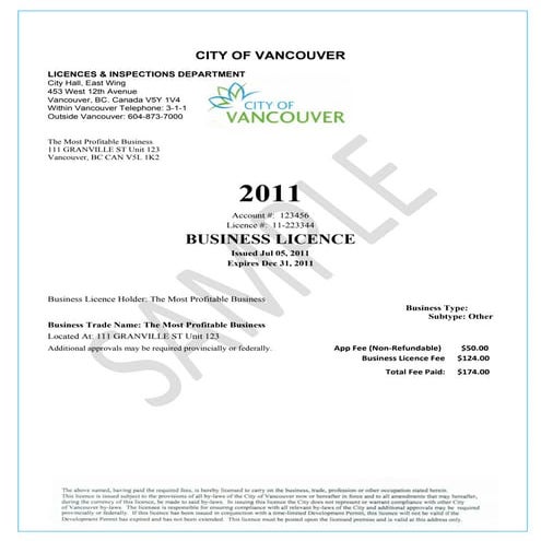 Business Licence Sample | PDF