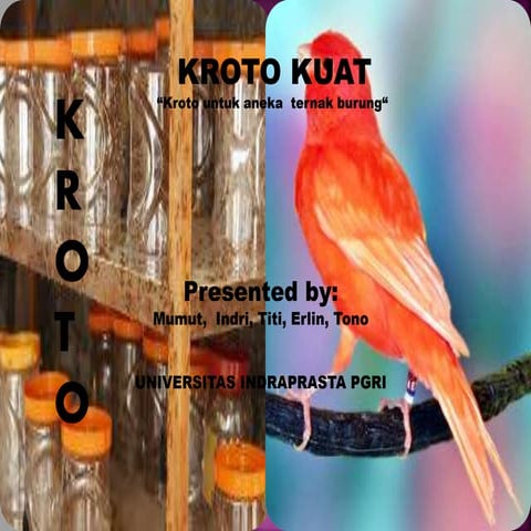 Bussiness plan kroto | PPTX