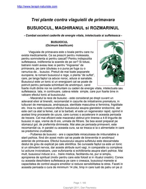 Anason planta medicinala | DOC