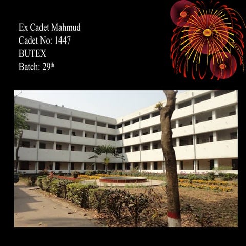 Presentation on Butex | PPT