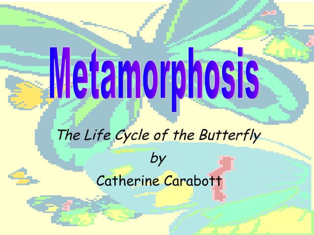 Butterflies Interactive Powerpoint | PPT