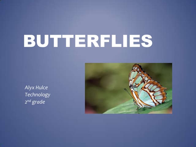 Life Cycle Of The Butterfly | PPT