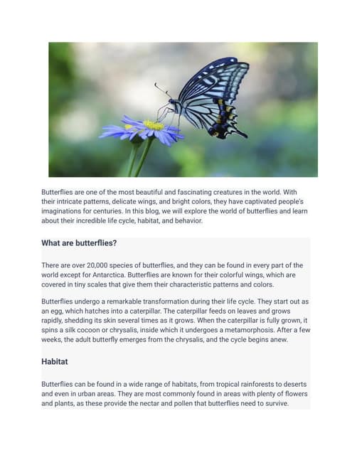 butterflies and their subsequent studies | PPT
