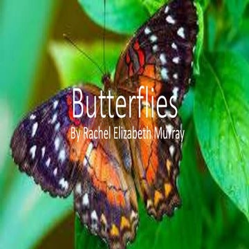 Butterflies 101 | PPTX