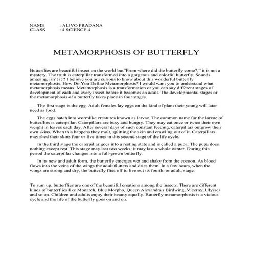 Butterfly | DOCX | Biological Sciences | Science