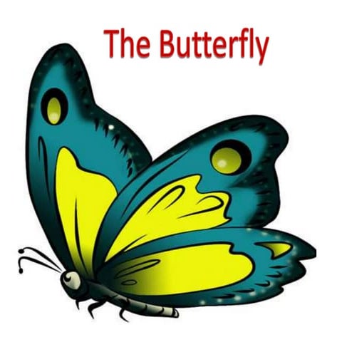 Butterfly | PPTX