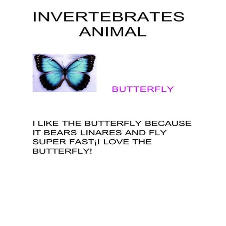 Butterfly | DOCX