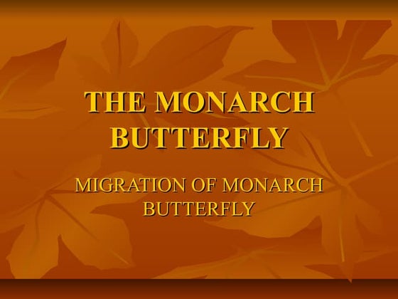 Monarch butterfly baylee | PPTX