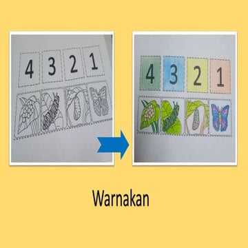 Butterfly Life Cycle Activities | PPTX