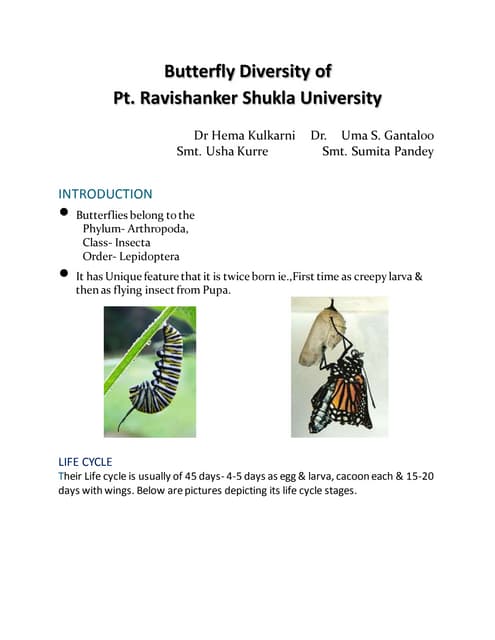 Butterfly of ubkv (Family Nymphalidae) | PPT