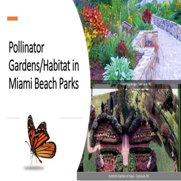 Butterfly garden proposals for Miami Beach parks | PPTX