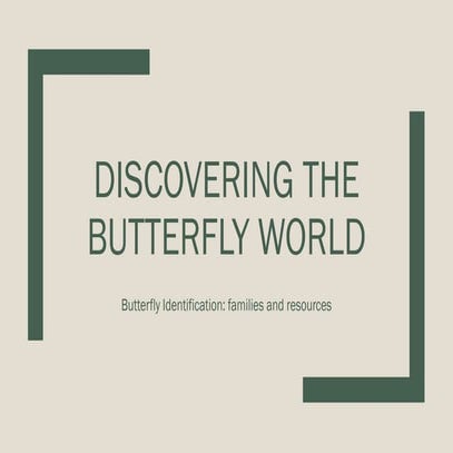 butterfly_identification_for_beginner.....s General.pdf