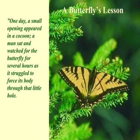 A Butterfly’s Lesson | PPTX