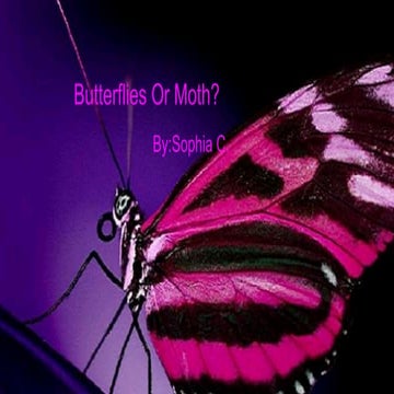 Butterfly or moth! | PDF