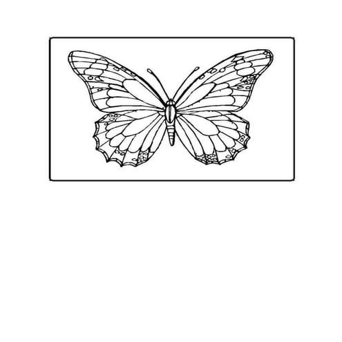 Butterfly outline | DOCX