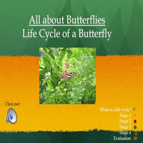 Butterfly Life Cycle | PPTX