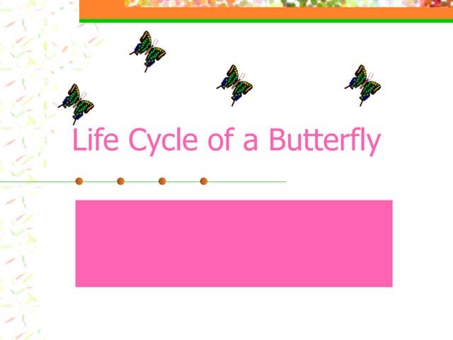 Life cycle of a butterfly | PPTX