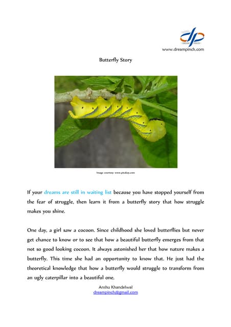 The Butterfly Story | DOC | Birdwatching | Hobbies & Interests