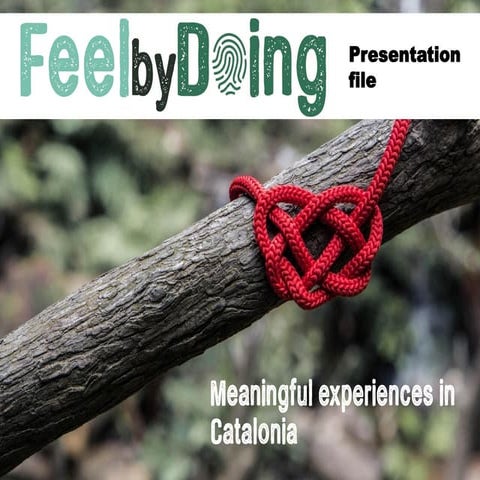 Buy feel by doing | PPT