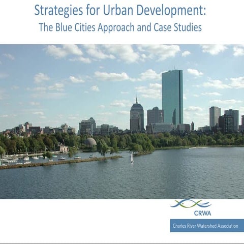 Strategies for Urban Development | PDF