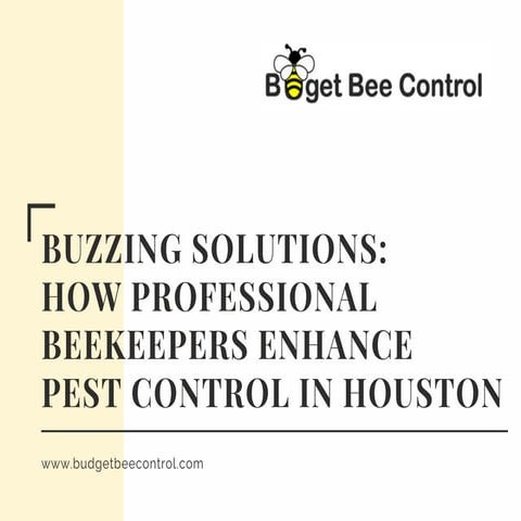 Buzzing Solutions How Professional Beekeepers Enhance Pest Control in ...