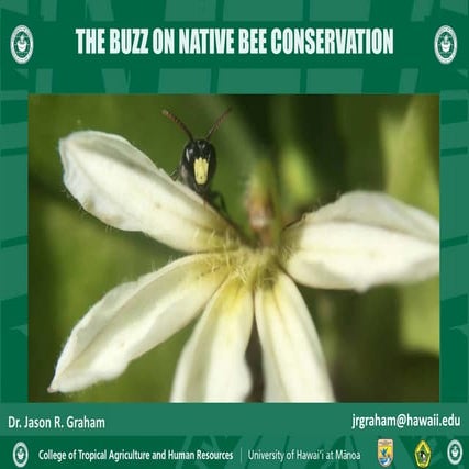 Buzz on native bee conservation | PPT