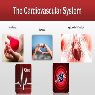 The Cardiovascular System.pptx