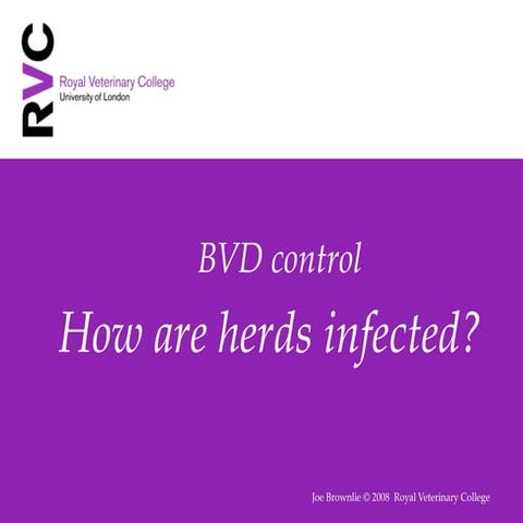 BVD_Control.ppt