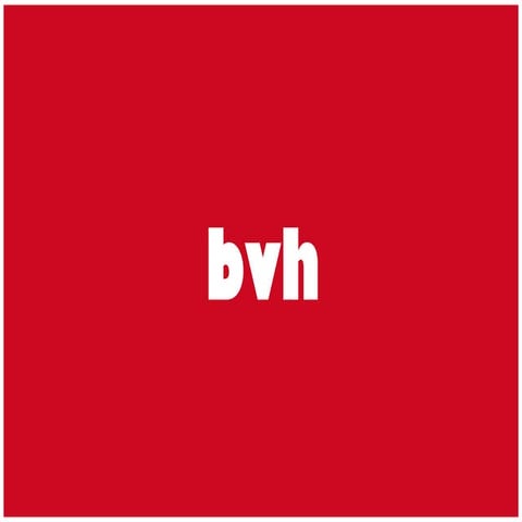 BVH Het bureau voor succesvolle dienstverleners | PPT