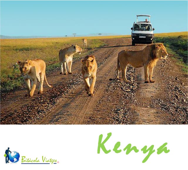 Kenya power point | PPT