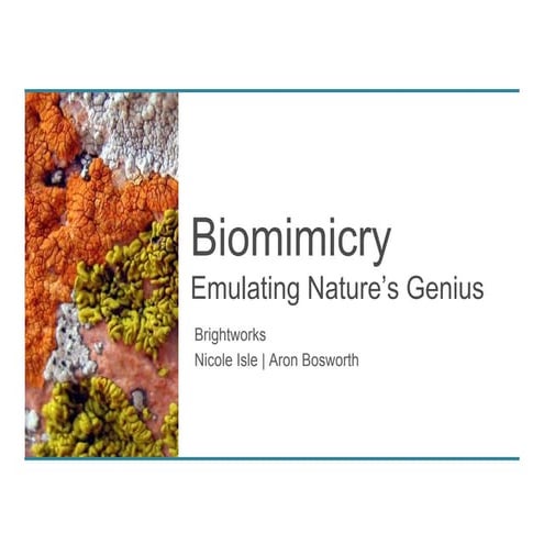 Biomimicry: Emulating Nature's Genius | PPT
