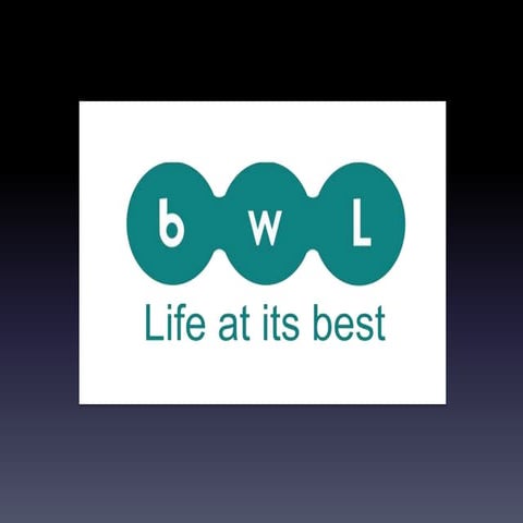 BWL Power Point Presentation | PPTX