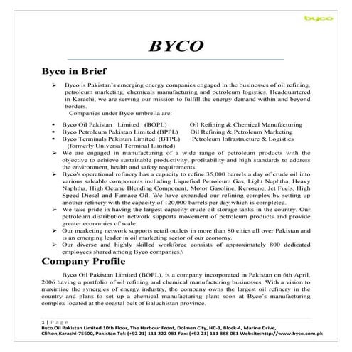 Byco in brief | DOCX