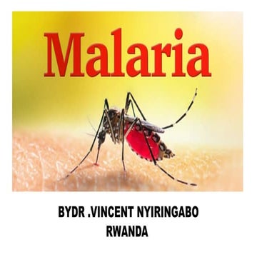 Comprehensive Overview of Ebola Virus Disease: Causes, Symptoms, and ...