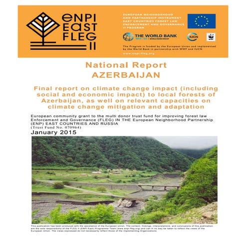 Final Assessment Report | PDF