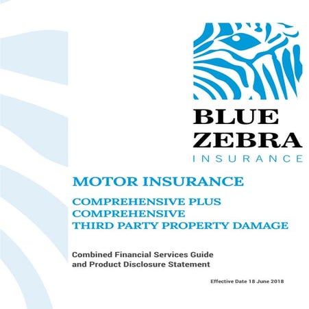 Blue Zebra Insurance Motor PDS | PDF