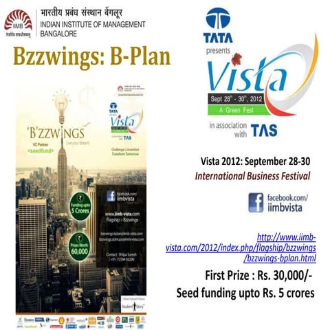 Bzzwings Bplan | PPTX