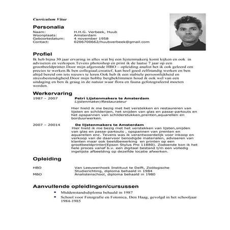 CV Jaap van der Loo | PDF