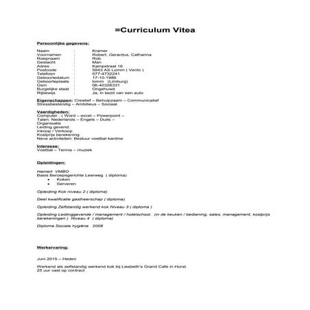 Cv robin rijnders (robin rijnders) | PDF